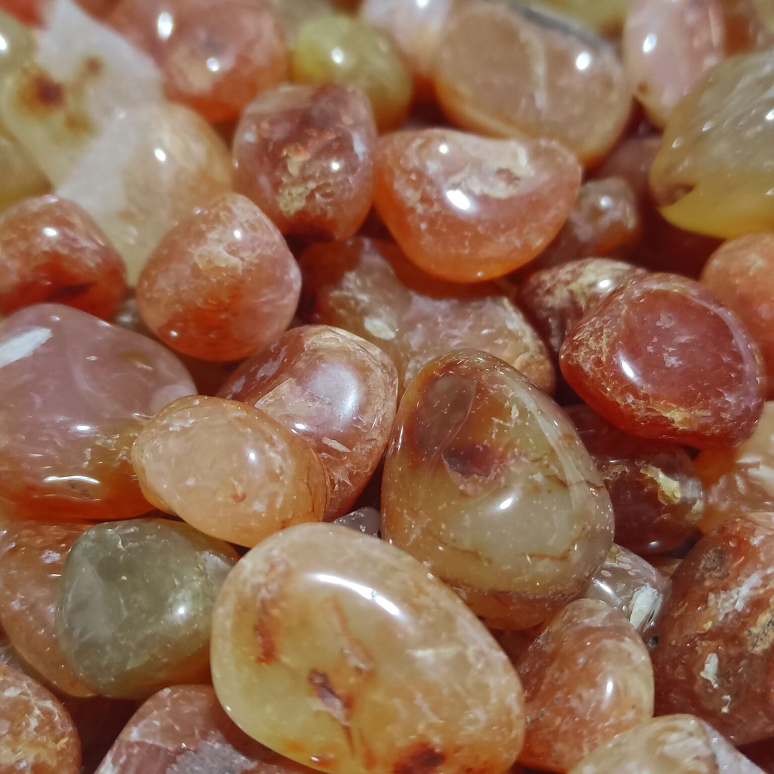 CORNALINA (Envidia, Resentimiento) - Naturalesal